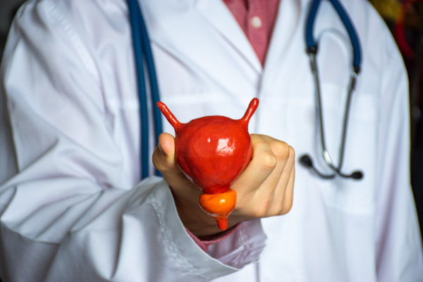 Normální velikost prostaty: Jak poznat zvětšení | Uniprosta